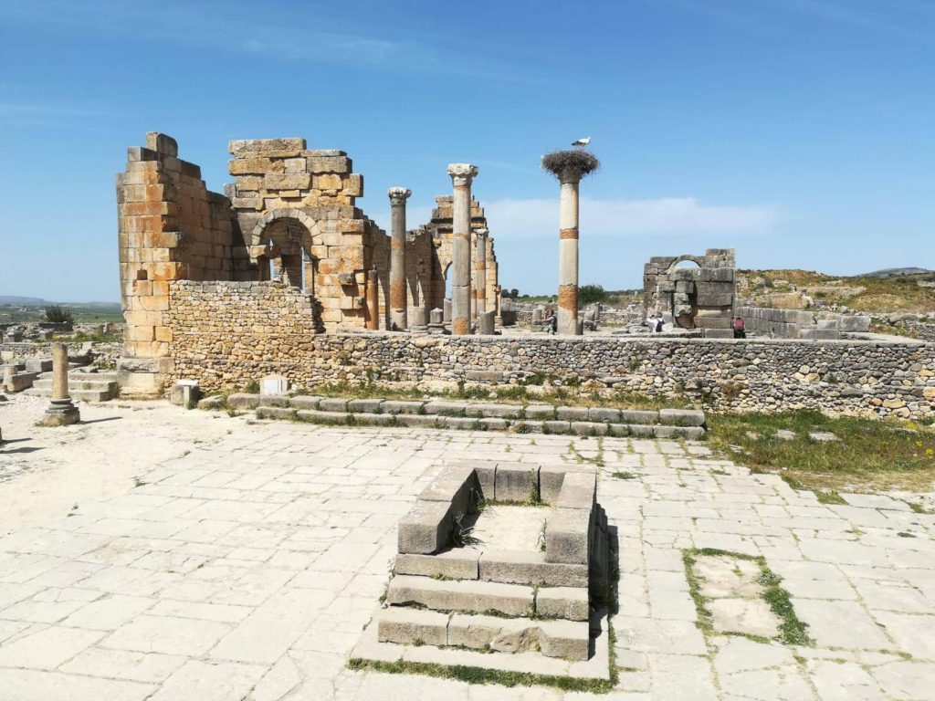 Marco Porcio Catone: riassunto breve della sua vita e del suo pensiero